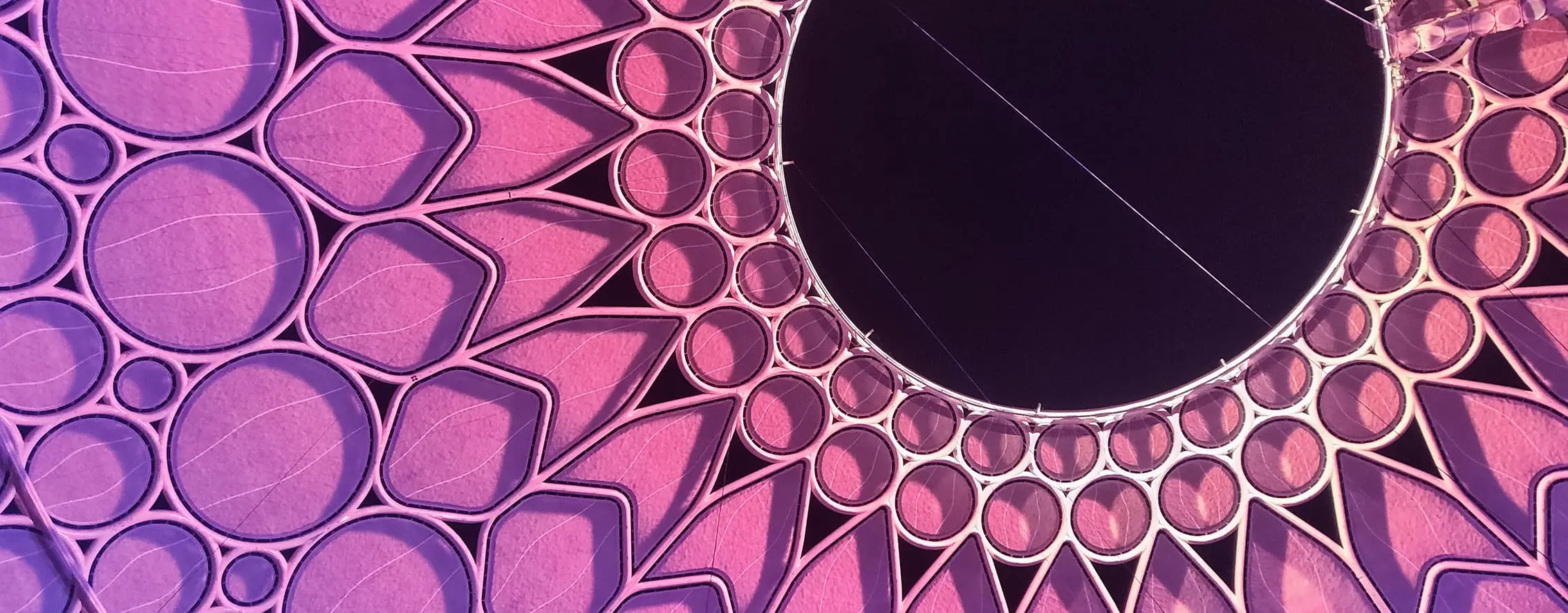 Conex at Expo 2020 | Conex Research